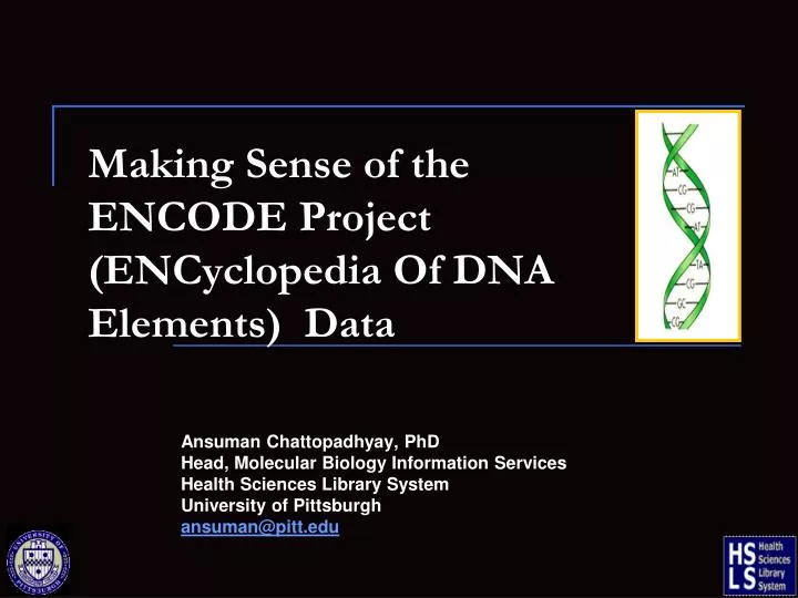 PPT - Making Sense of the ENCODE Project ( ENCyclopedia Of DNA Elements ...