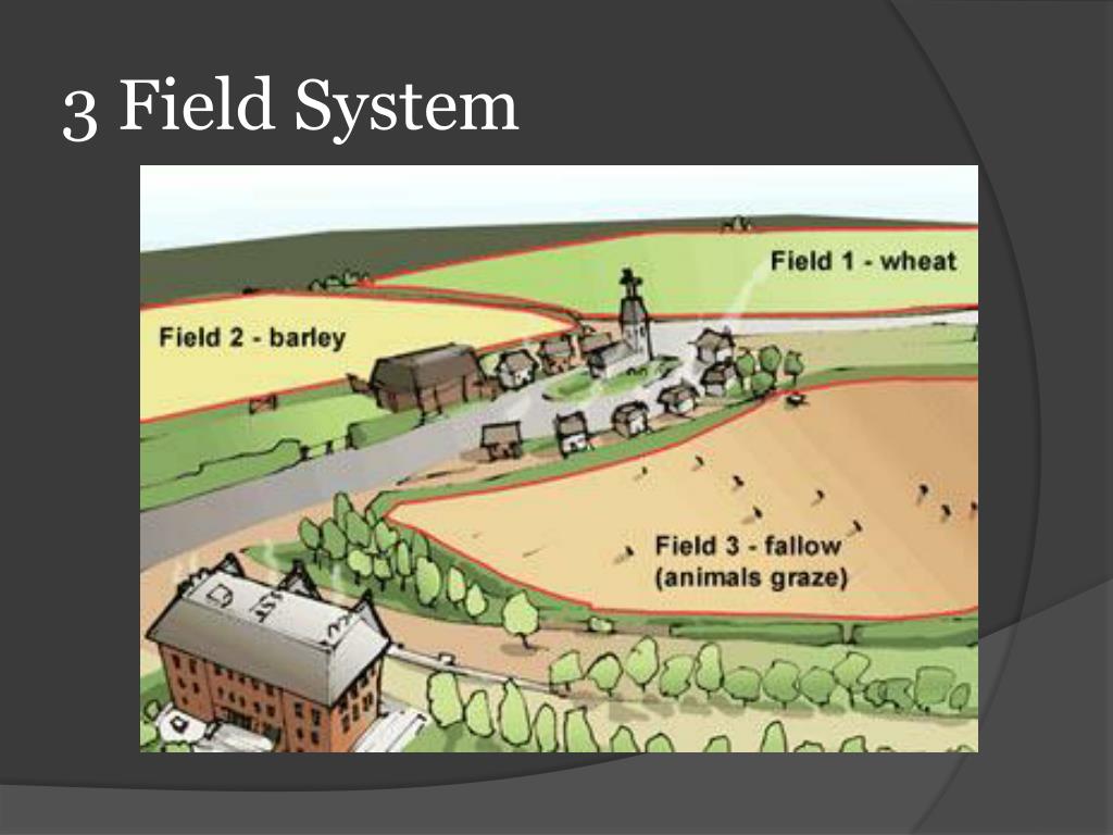 PPT - The Industrial Revolution (1750-1914) PowerPoint Presentation ...