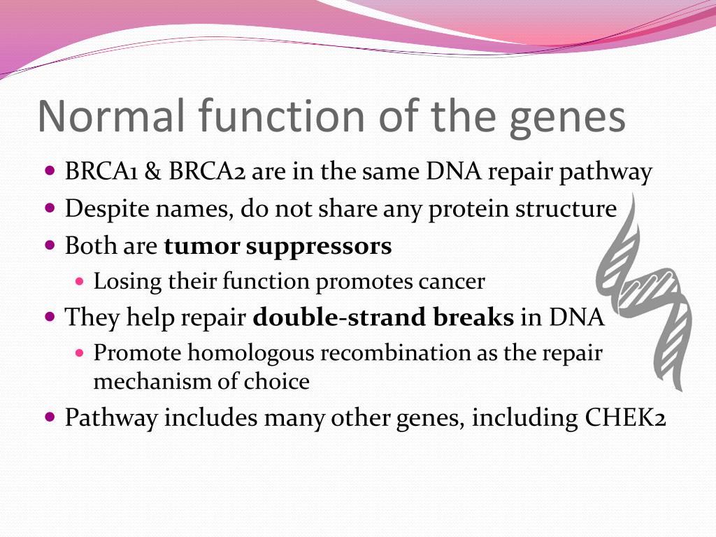 PPT - Breast & Ovarian Cancer: BRCA1 and BRCA2 PowerPoint Presentation ...