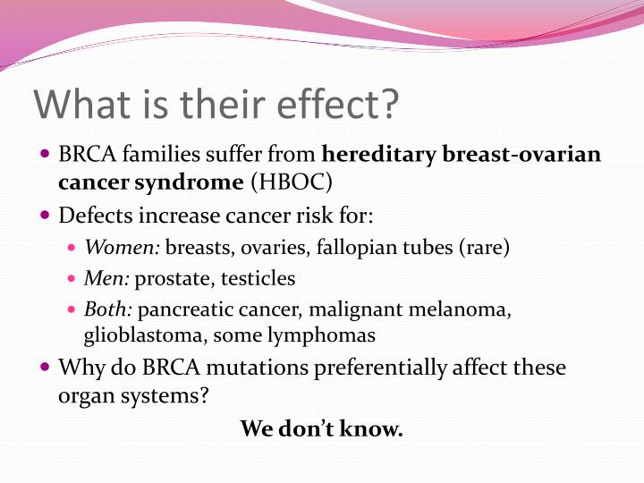 PPT - Breast & Ovarian Cancer: BRCA1 and BRCA2 PowerPoint Presentation ...