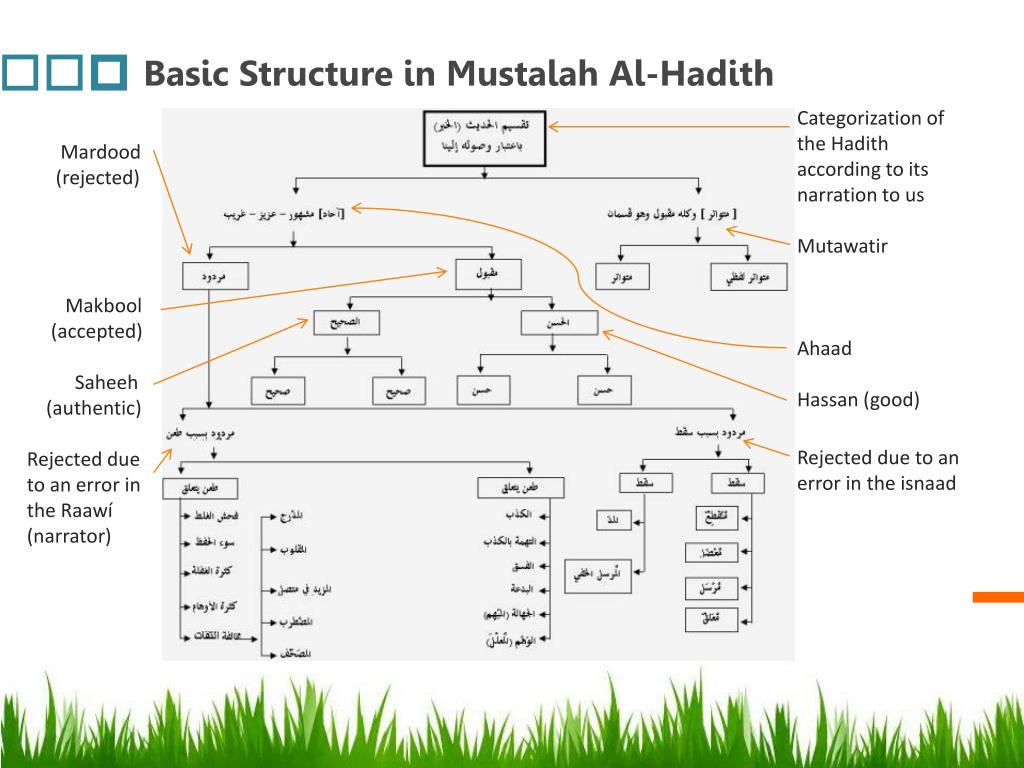 PPT - M uṣṭalaḥ Al- ḥ adīth Hadith Terminology PowerPoint Presentation ...
