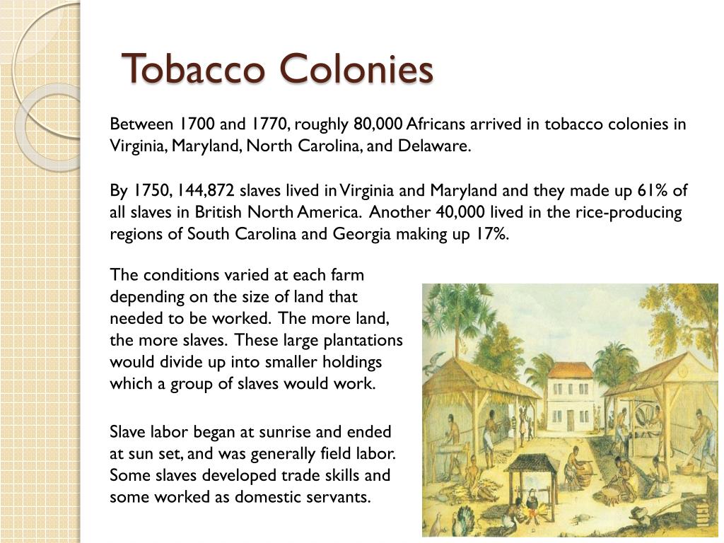 PPT - Black People in Colonial North America (1526-1763 ) [Part I ...
