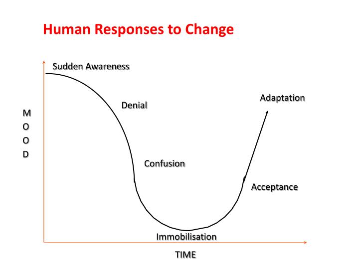 PPT - Knowledge Management PowerPoint Presentation - ID:2199157