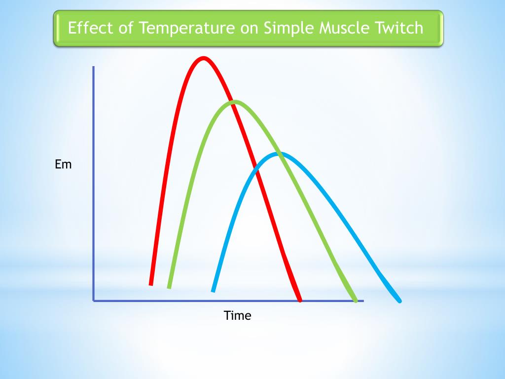 PPT - Nerve and Muscle Dr. Loay Abu Dalu .MD, MSc (UK) PowerPoint ...