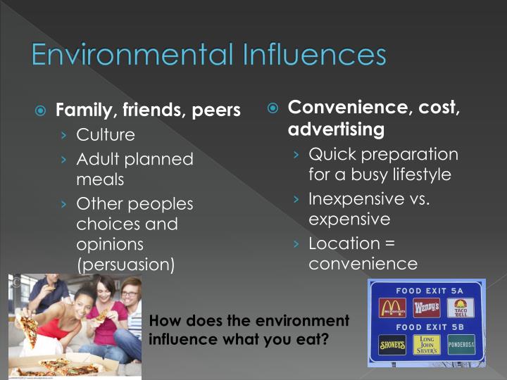 PPT - Introduction to Nutrition PowerPoint Presentation - ID:2199825