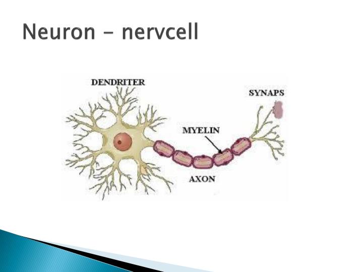PPT - Vad är minne? PowerPoint Presentation - ID:2199920