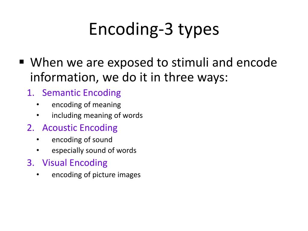 Visual Encoding In Psychology Masgps