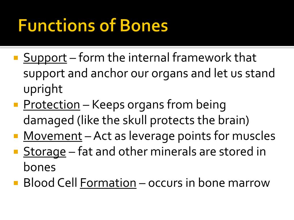 PPT Functions Of Bones PowerPoint Presentation Free Download ID