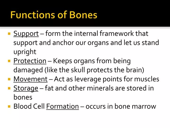 Describe Short Bones And Their Primary Structural Functions at Anthony ... Describe Short Bones And Their Primary Structural Functions at Anthony ...