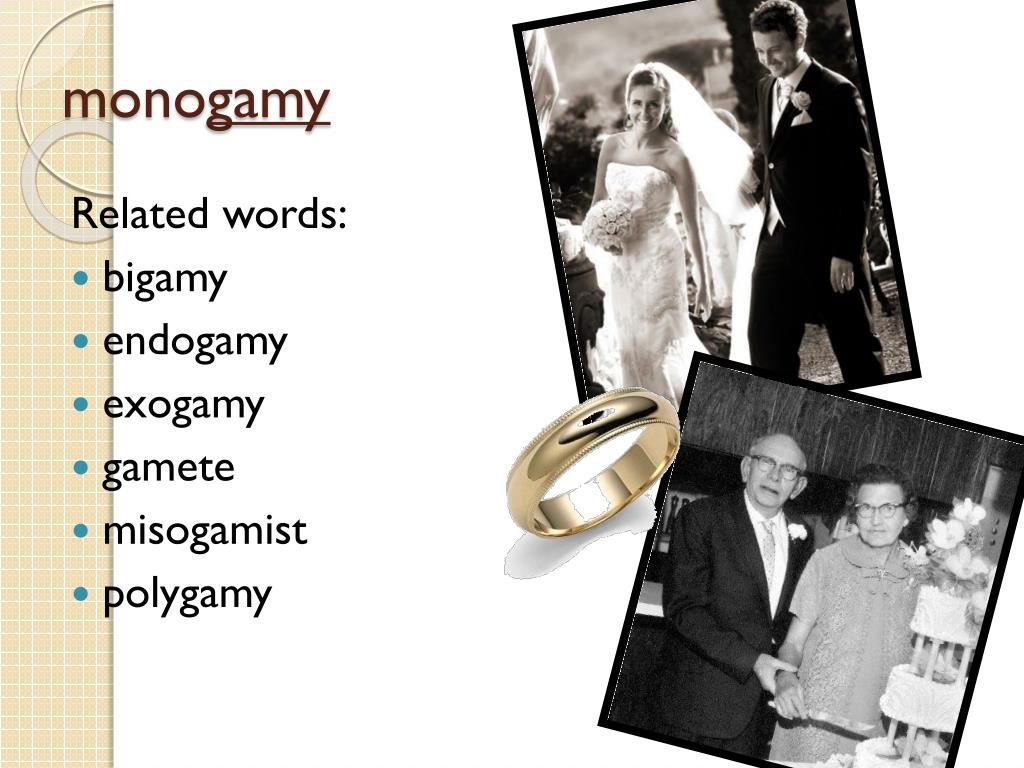 PPT - Greek Vocabulary 2 PowerPoint Presentation, free download - ID ...