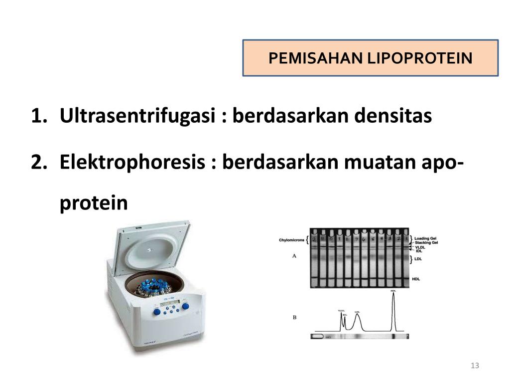 PPT - PEMERIKSAAN LABORATORIUM GANGGUAN METABOLISME LEMAK PowerPoint ...