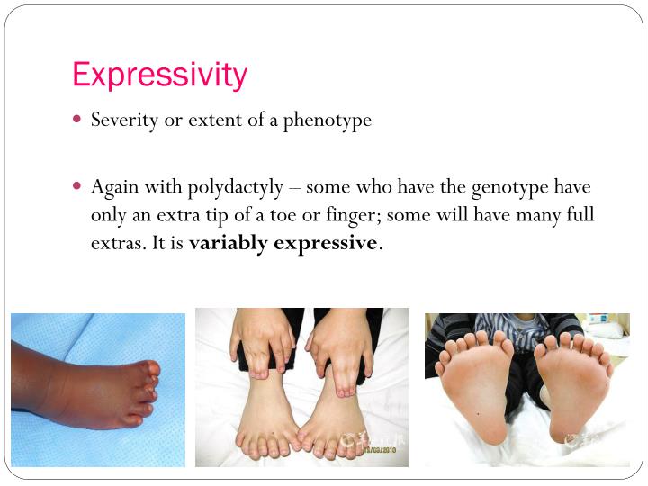 PPT - Extensions and Exceptions to Mendel’s Laws PowerPoint ...