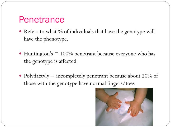 PPT - Extensions and Exceptions to Mendel’s Laws PowerPoint ...