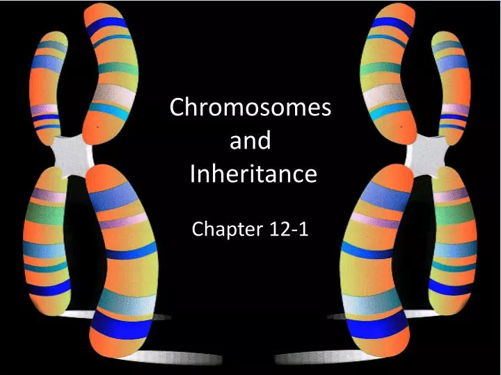 PPT - Chromosomes and Inheritance PowerPoint Presentation, free ...