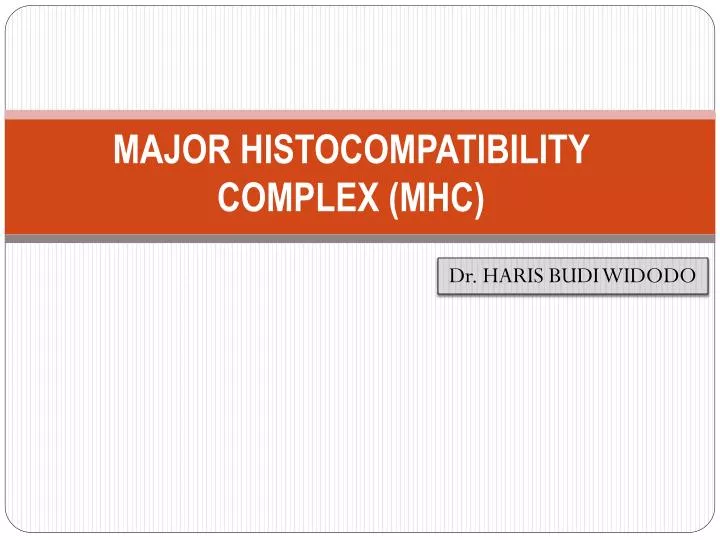 PPT - MAJOR HISTOCOMPATIBILITY COMPLEX (MHC) PowerPoint Presentation ...