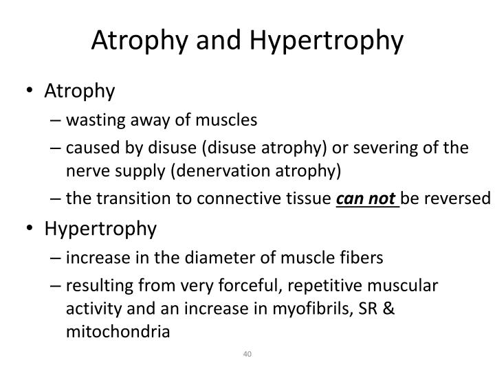 PPT - The Neuromuscular Junction And Muscle Stimulation PowerPoint ...