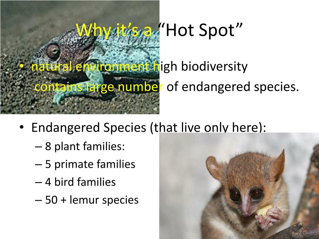 PPT - Hot Spot: Madagascar & The Indian Ocean Islands PowerPoint ...