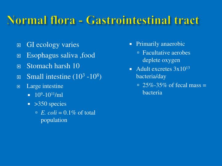 PPT - Normal flora & introduction to infectious diarrhea PowerPoint ...