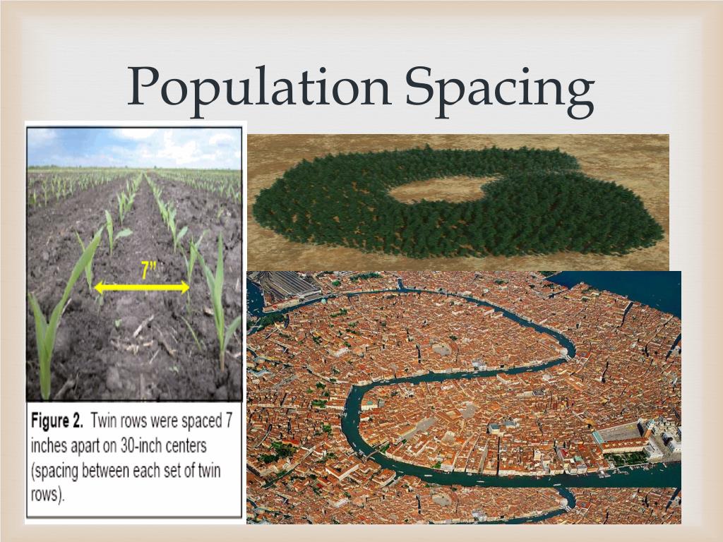 PPT - Interactions Among Living Organisms PowerPoint Presentation, free ...