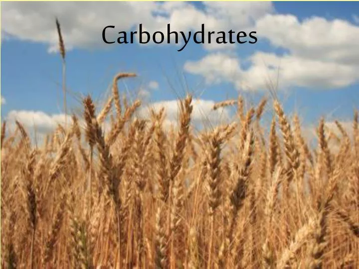 PPT - Carbohydrates PowerPoint Presentation, free download - ID:2203125