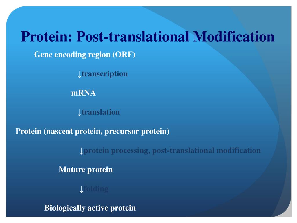 PPT - POST-TRANSLATIONAL PROCESS YILDIRIM BEYAZIT UNIVERSITY FACULTY OF ...