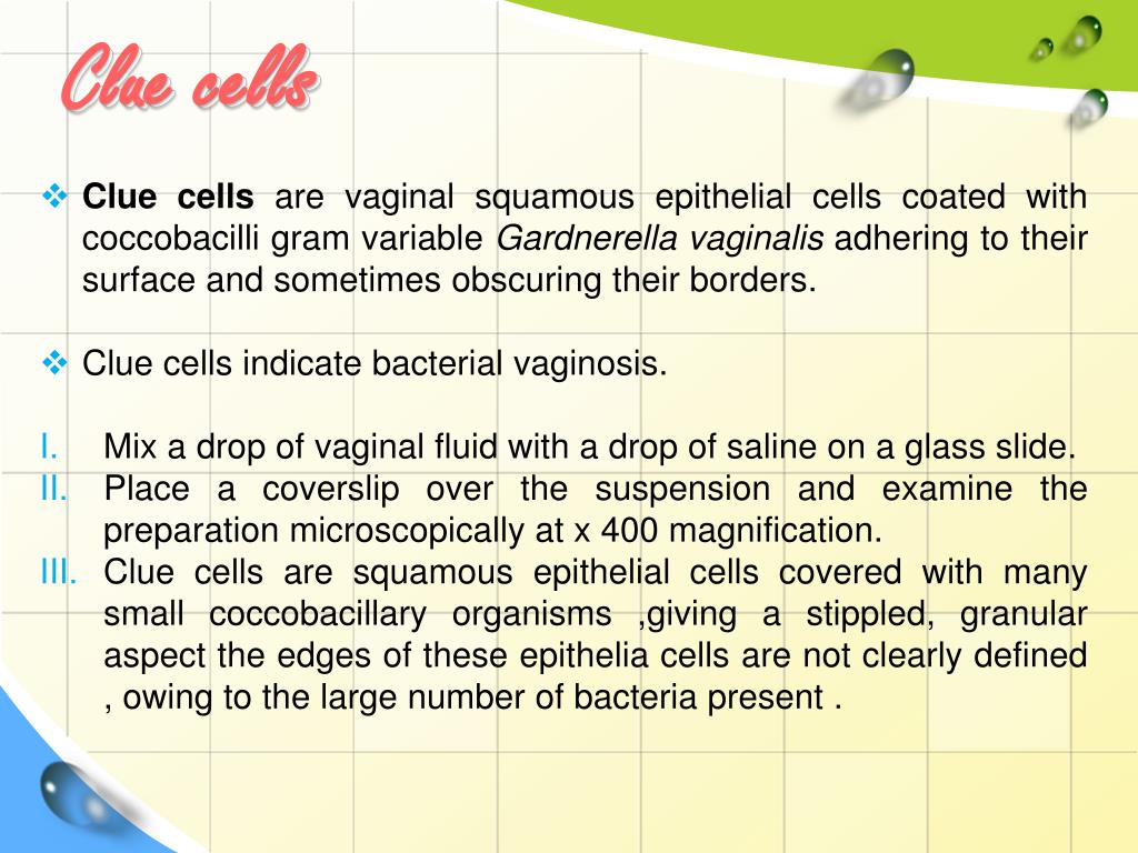 PPT - Genital Culture PowerPoint Presentation, free download - ID:2203483