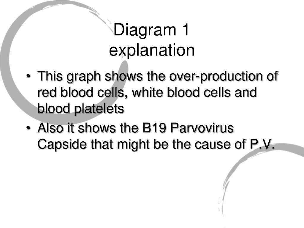 PPT - Human Disease Project Egan middle school Polycythemia Vera (P.V ...