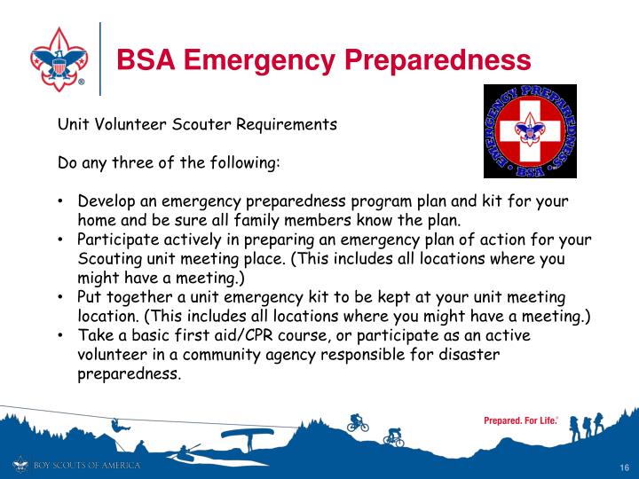 PPT - BSA Adult Awards PowerPoint Presentation - ID:2204153