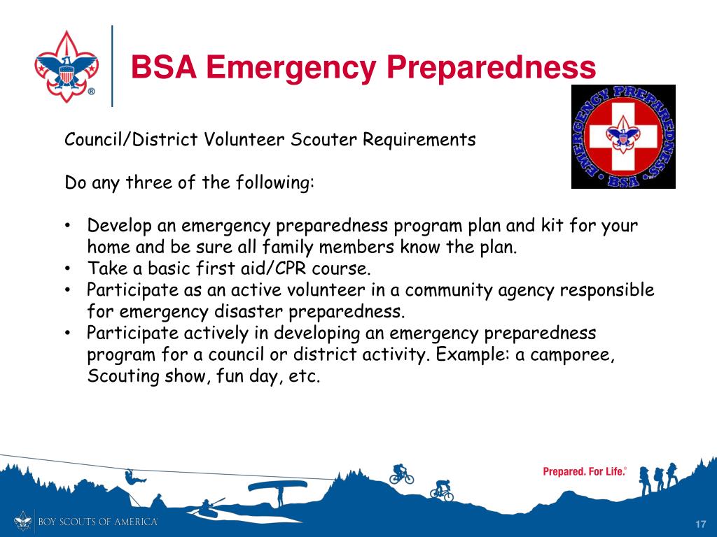 PPT - BSA Adult Awards PowerPoint Presentation, free download - ID:2204153