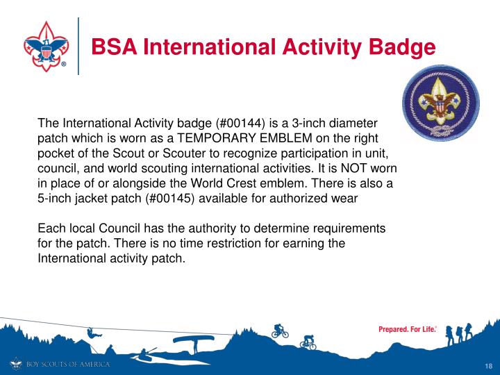 PPT - BSA Adult Awards PowerPoint Presentation - ID:2204153