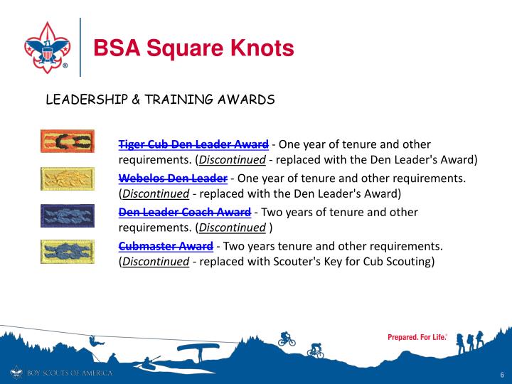 PPT - BSA Adult Awards PowerPoint Presentation - ID:2204153