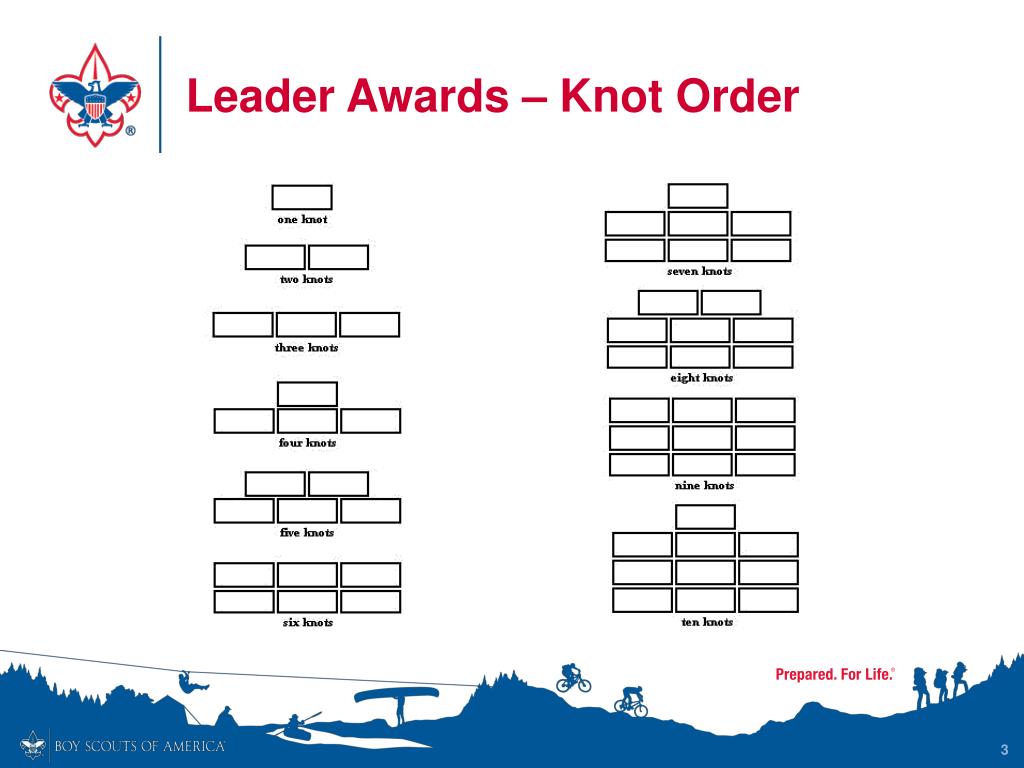PPT - BSA Adult Awards PowerPoint Presentation, free download - ID:2204153