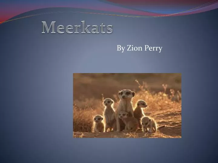 PPT - By Zion Perry PowerPoint Presentation, free download - ID:2204210