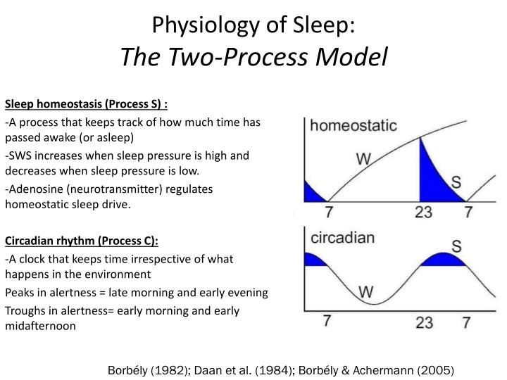 Ppt Importance Of Sleep Powerpoint Presentation Id 2204732