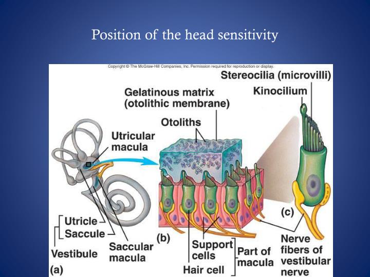 PPT - The Nervous system PowerPoint Presentation - ID:2204861