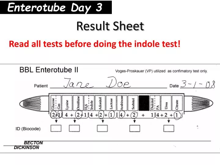 PPT - Result Sheet PowerPoint Presentation, free download - ID:2205068
