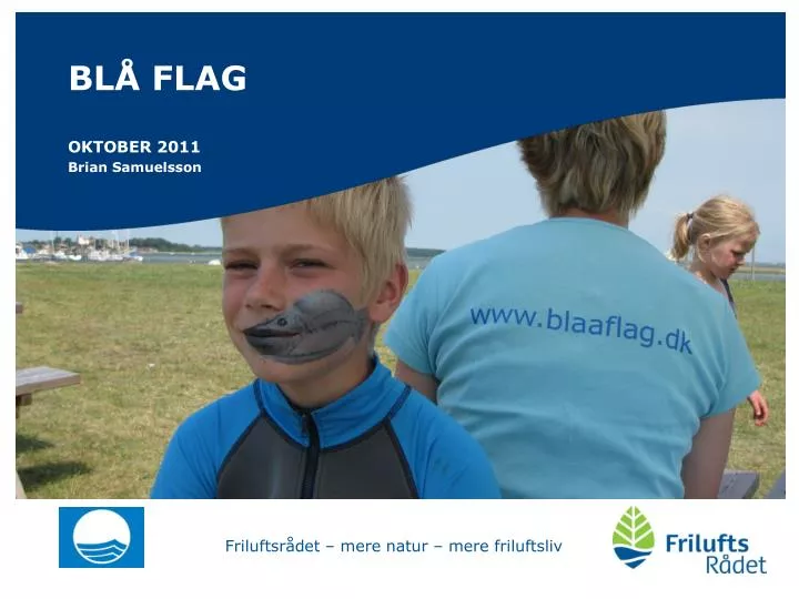 PPT - BLÅ FLAG PowerPoint Presentation, free download - ID:2205128