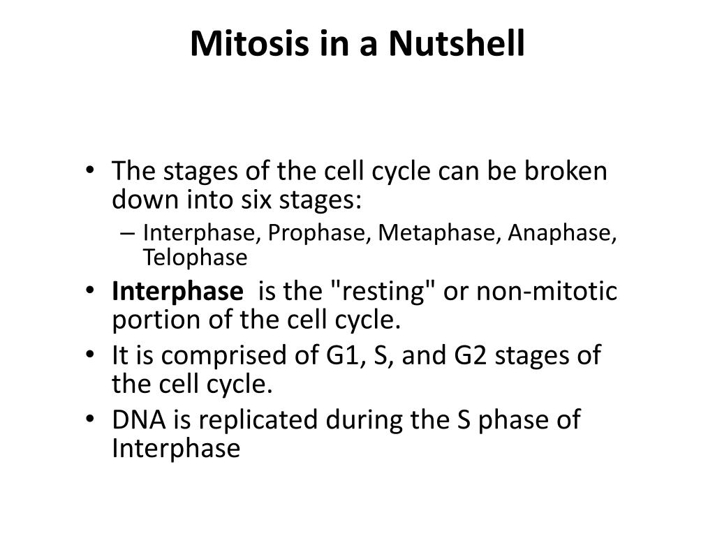 PPT - Cell Division, Mitosis, and Meiosis PowerPoint Presentation, free ...