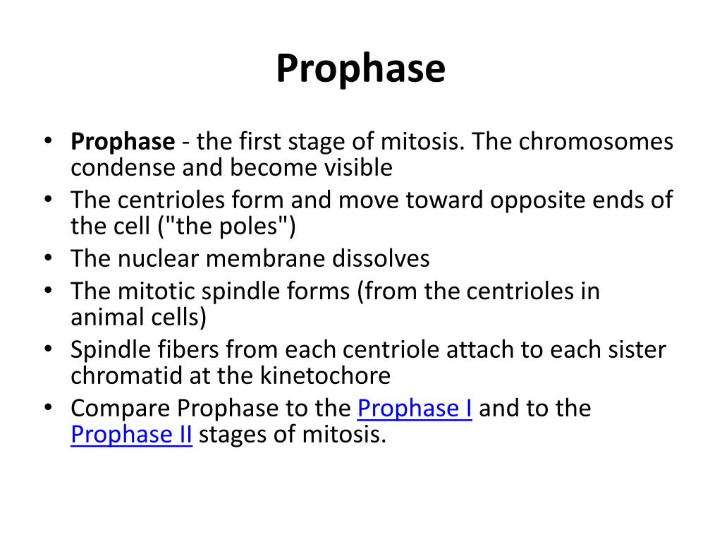 PPT - Cell Division, Mitosis, and Meiosis PowerPoint Presentation, free ...