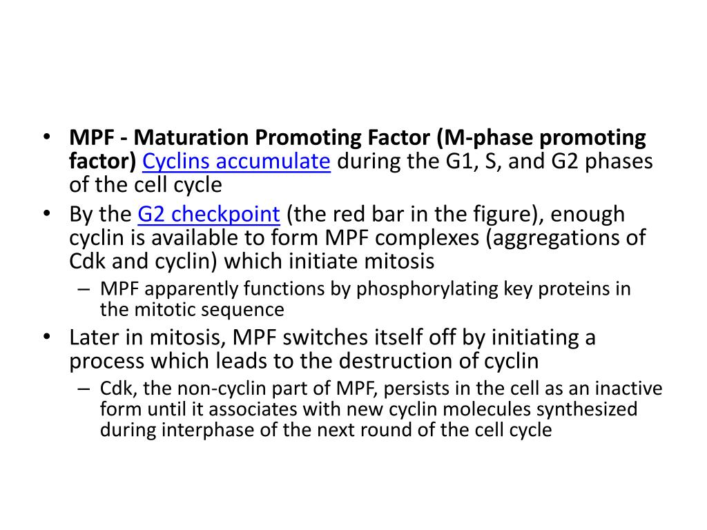 PPT - Cell Division, Mitosis, and Meiosis PowerPoint Presentation, free ...
