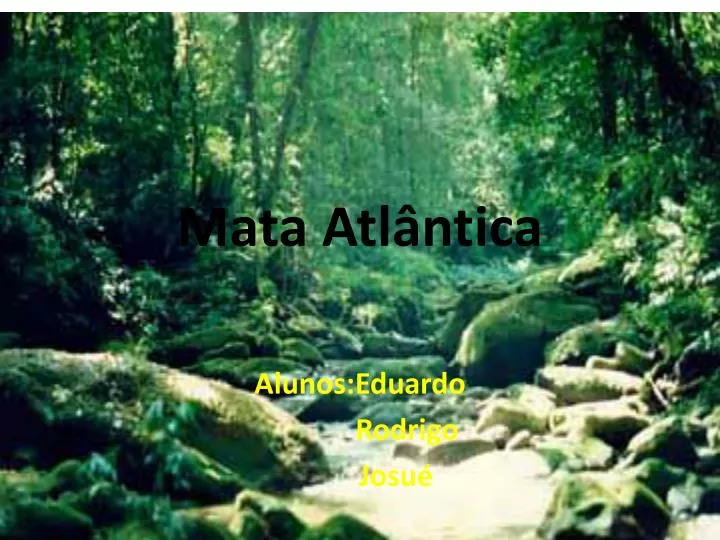 PPT - Mata Atlântica PowerPoint Presentation, free download - ID:2205602