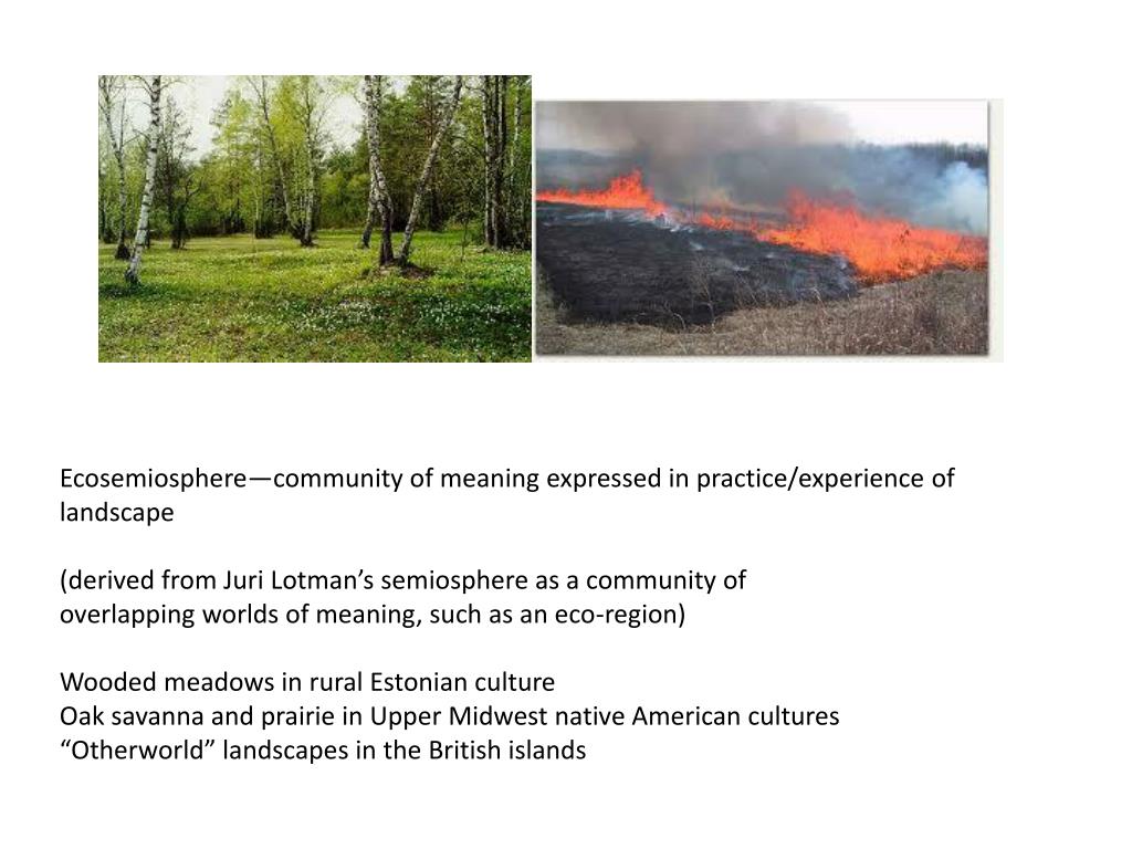 PPT - Ecosemiotics —cultural side of biosemiotics , relation of n ature ...