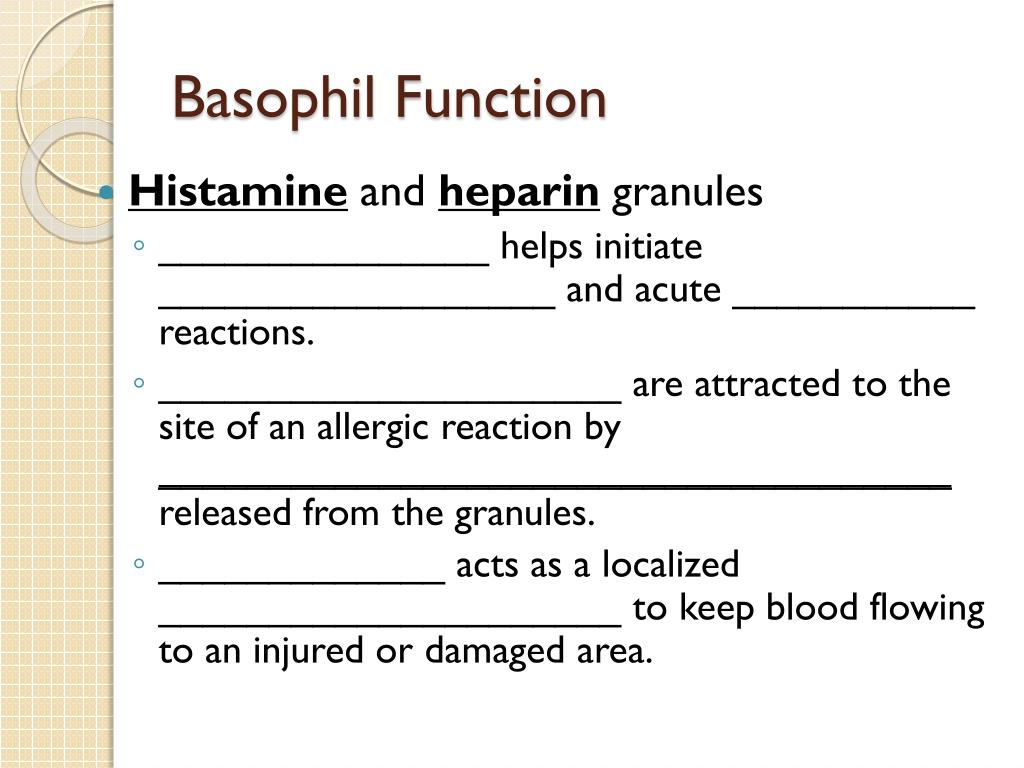 PPT - Leukocytes Formation, Function and Pathology Clinical Pathology ...