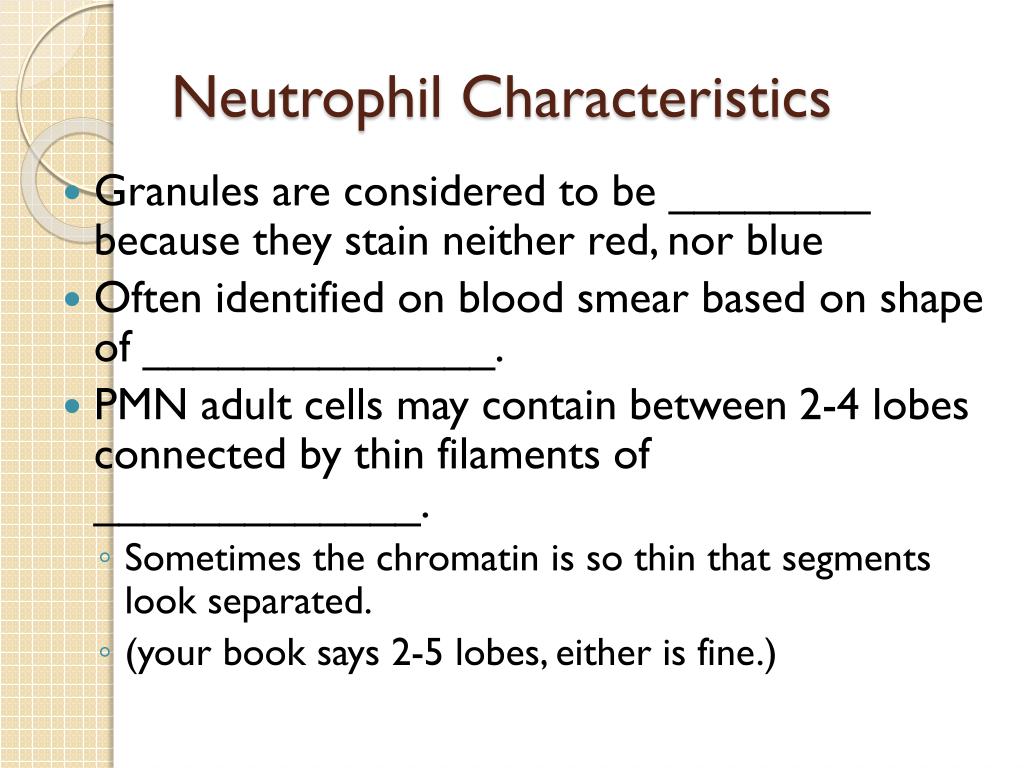 PPT - Leukocytes Formation, Function and Pathology Clinical Pathology ...