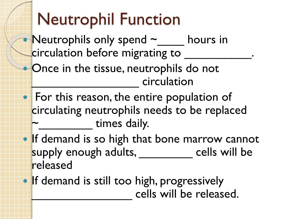PPT - Leukocytes Formation, Function and Pathology Clinical Pathology ...