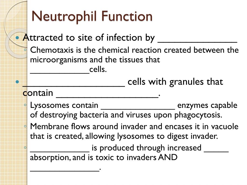 PPT - Leukocytes Formation, Function and Pathology Clinical Pathology ...