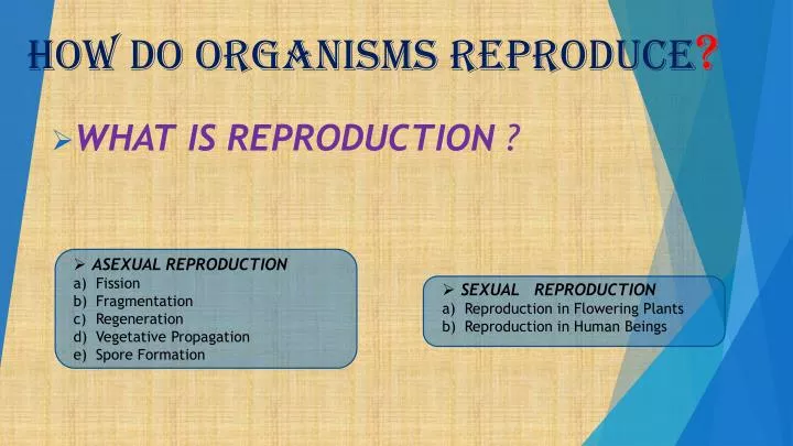 PPT - How do organisms reproduce ? PowerPoint Presentation, free ...
