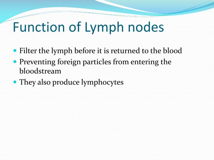 PPT - LYMPHATIC SYSTEM PowerPoint Presentation - ID:2206087