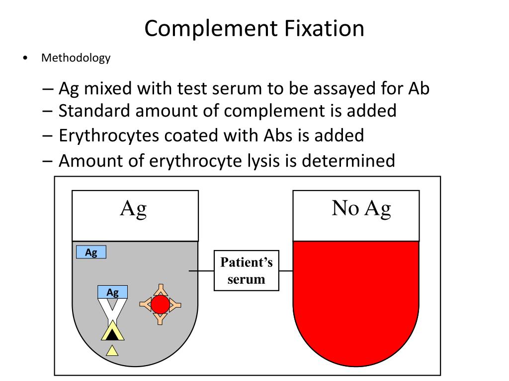 PPT - MEANS OF viral infection DIAGNOSIS PowerPoint Presentation, free ...