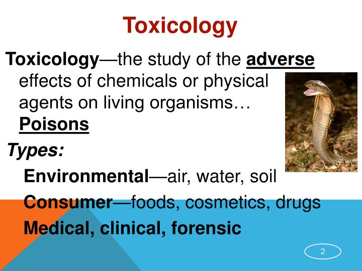 PPT - Forensic science TOXICOLOGY AND ALCOHOL PowerPoint Presentation ...